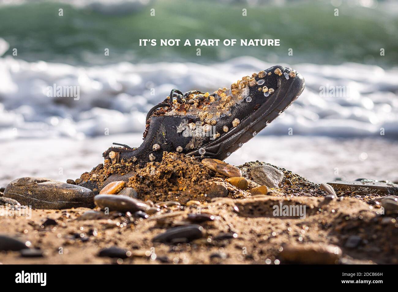 Concept of environmental protection and pollution. An old Shoe, covered ...