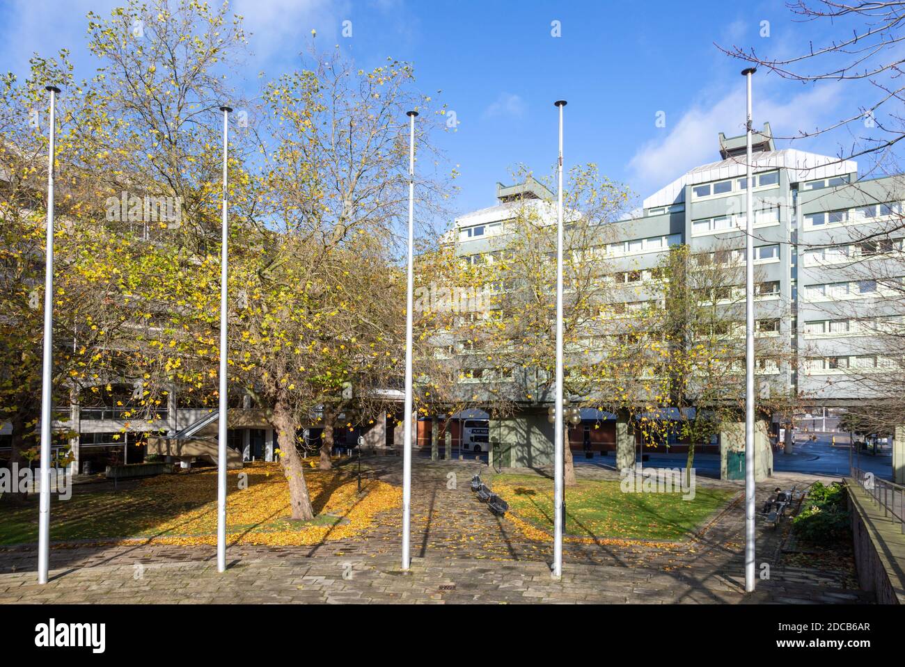 Trees in autumn Priory Street, University of Coventry, Coventry, West ...