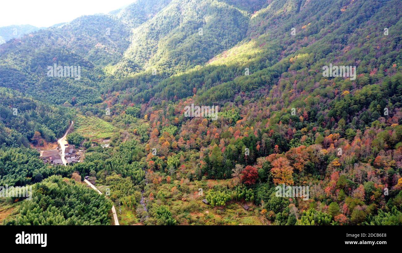 Jiangle. 20th Nov, 2020. Aerial photo taken on Nov. 20, 2020 shows a ...