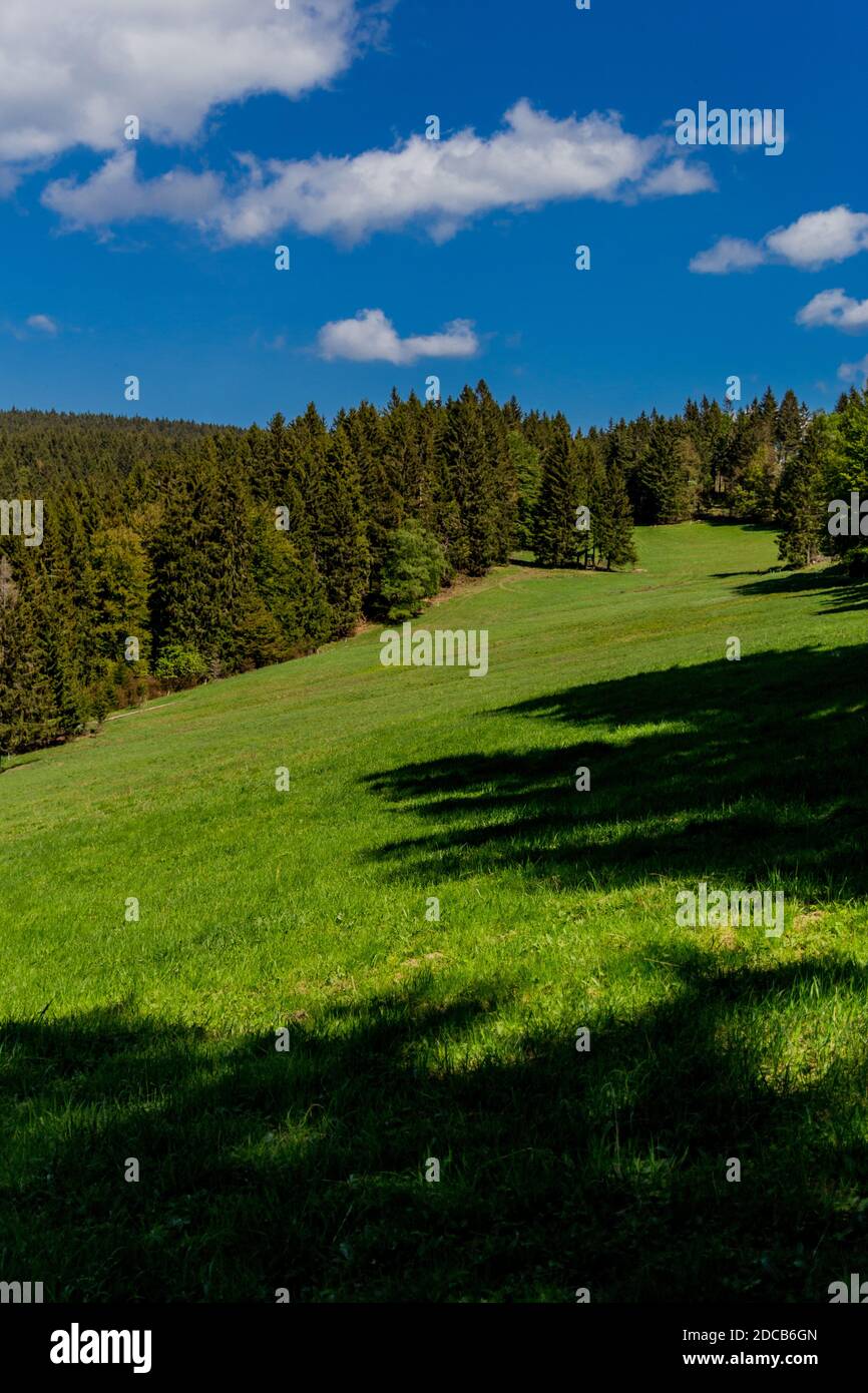 Hiking in different places through the Thuringian Forest - Thüringer ...