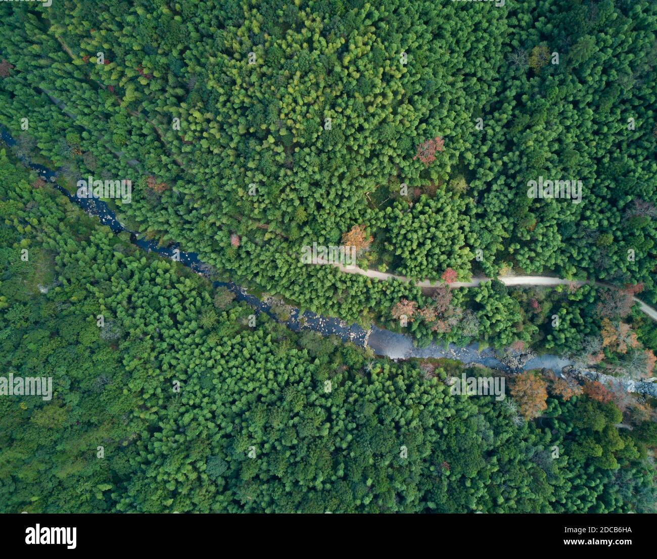 Jiangle. 20th Nov, 2020. Aerial photo taken on Nov. 20, 2020 shows a ...