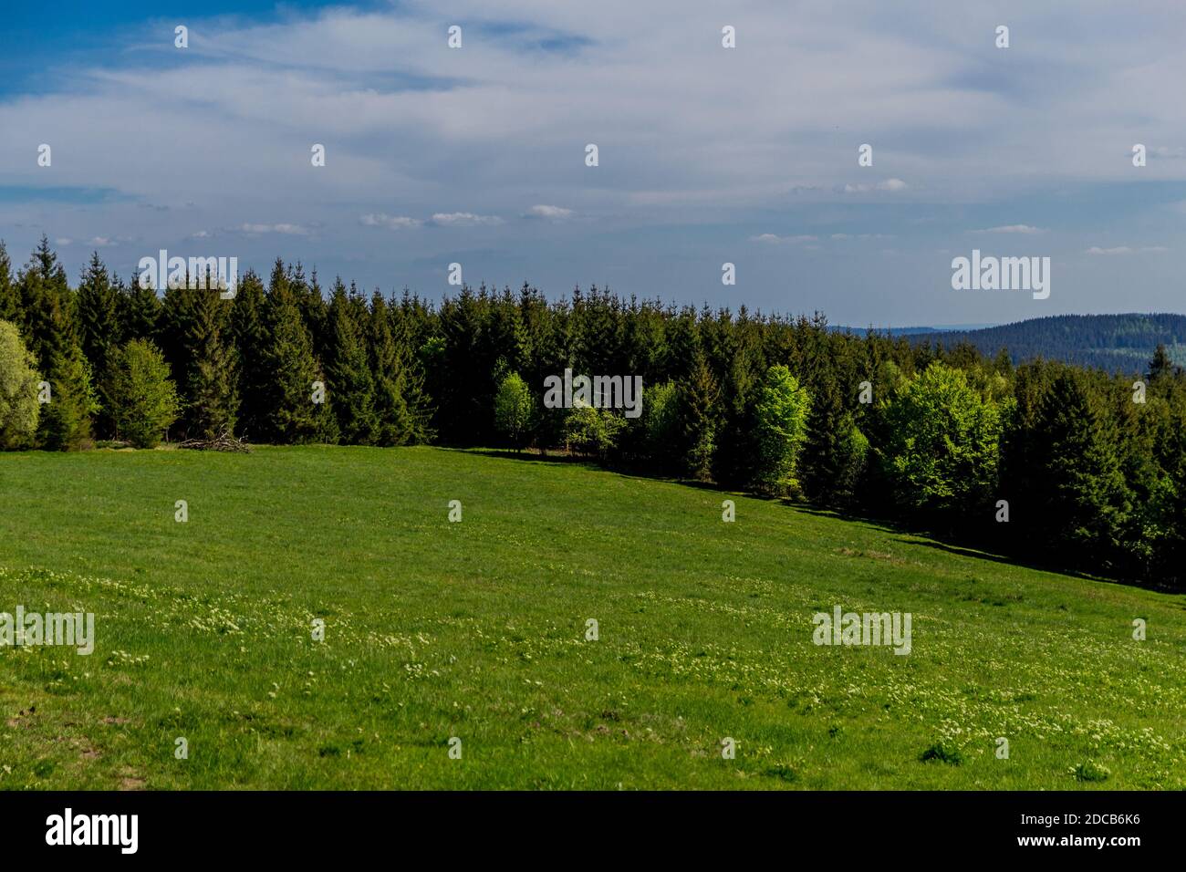 Hiking in different places through the Thuringian Forest - Thüringer ...