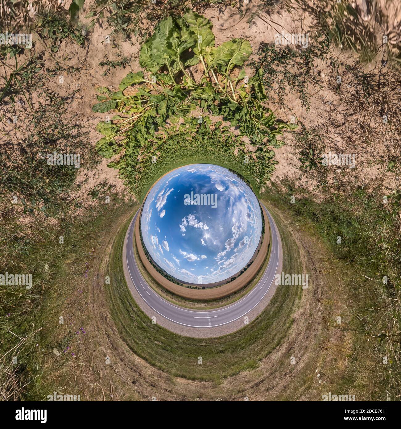 Blue little planet. Inversion of tiny planet transformation of ...