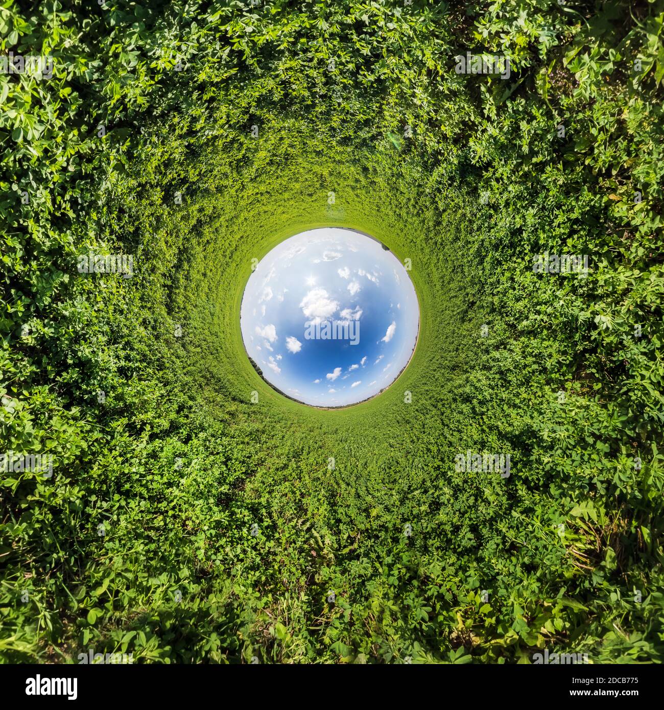 Blue little planet. Inversion of tiny planet transformation of ...