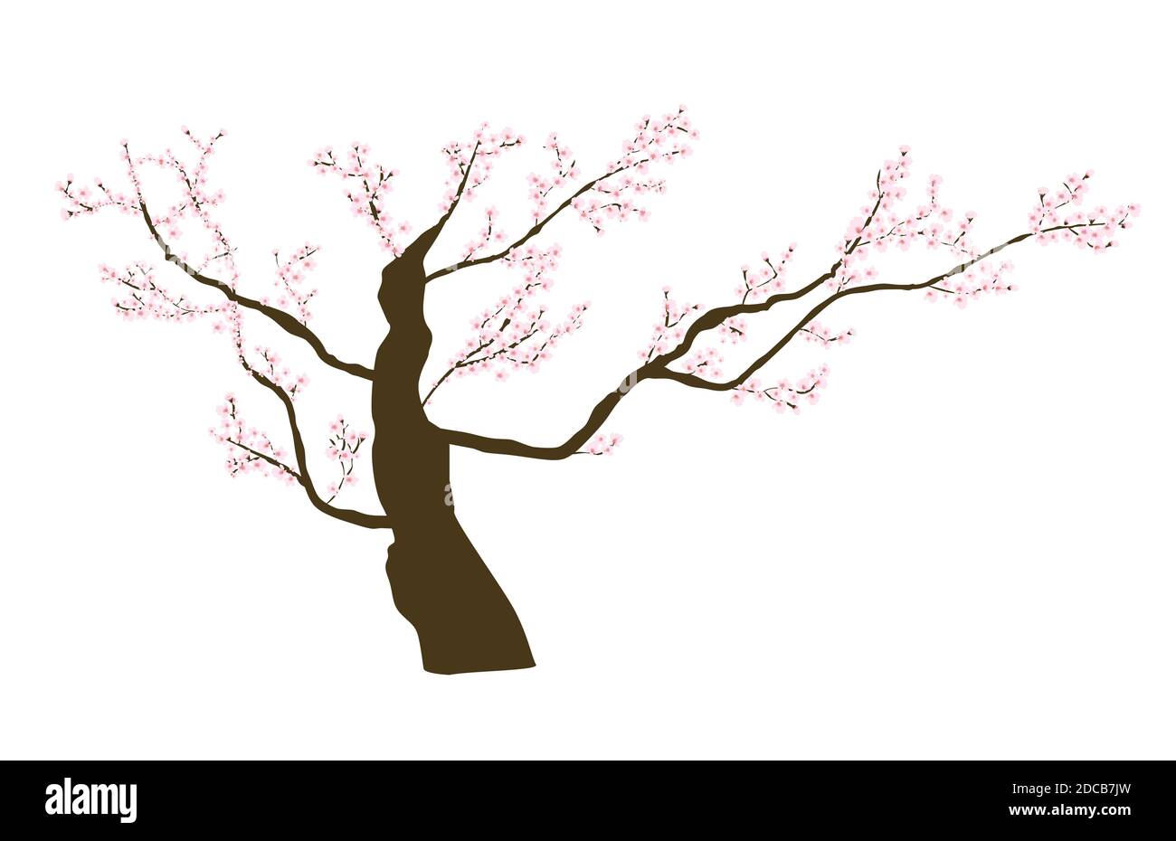 Abstract Floral Sakura Flower Japanese Natural Background Illustration ...