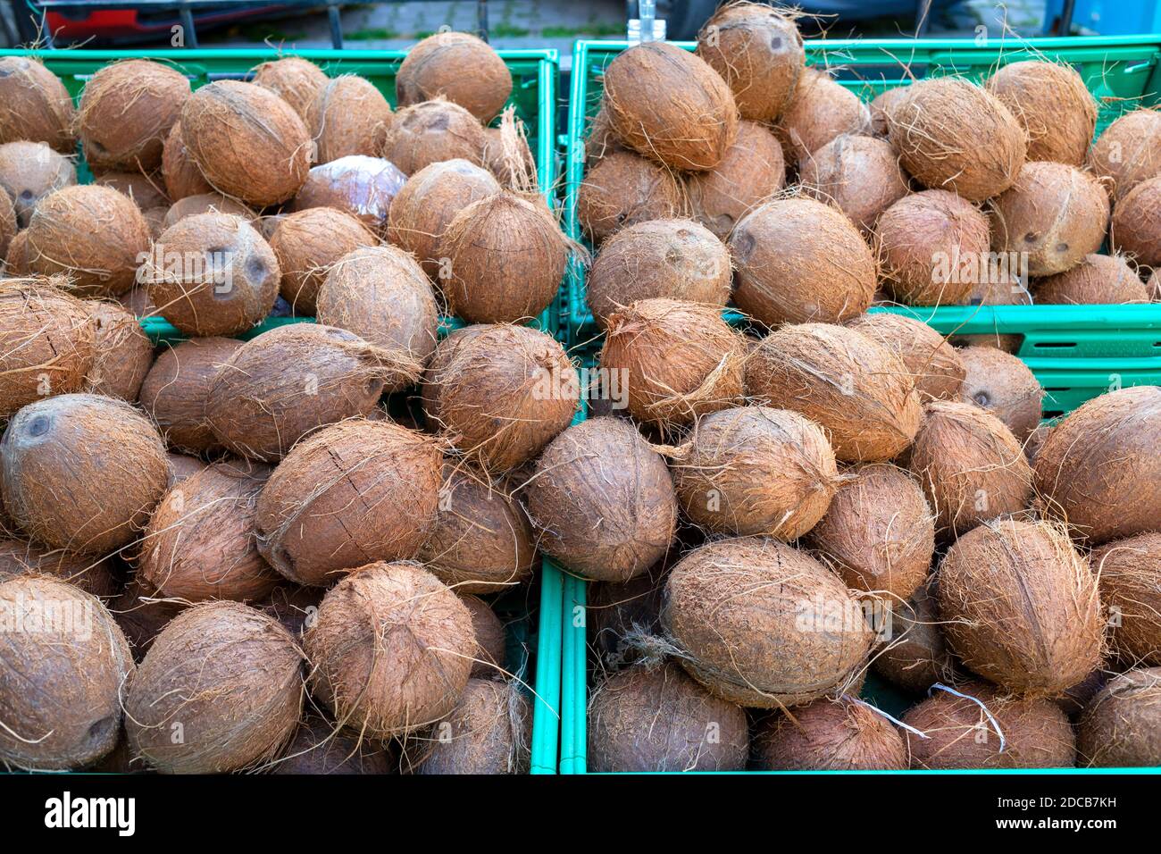 Group of brown hard coconuts in grocery case Stock Photo - Alamy