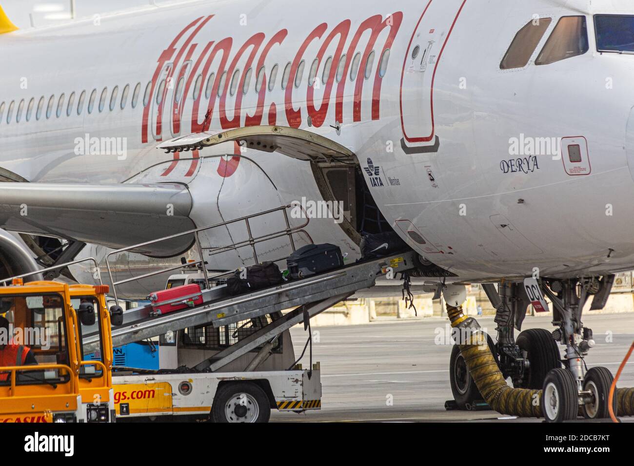 Cargo truck loading passenger luggage to open cargo door of an ...