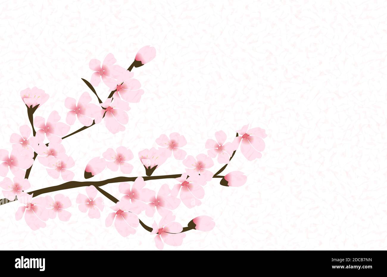 Abstract Floral Sakura Flower Japanese Natural Background Illustration ...