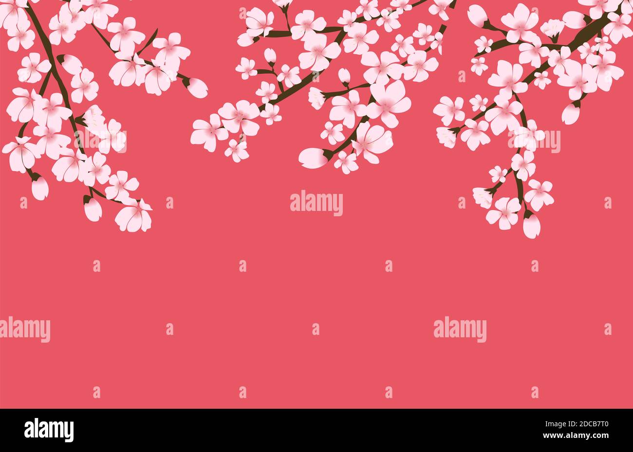 Abstract Floral Sakura Flower Japanese Natural Background Illustration ...