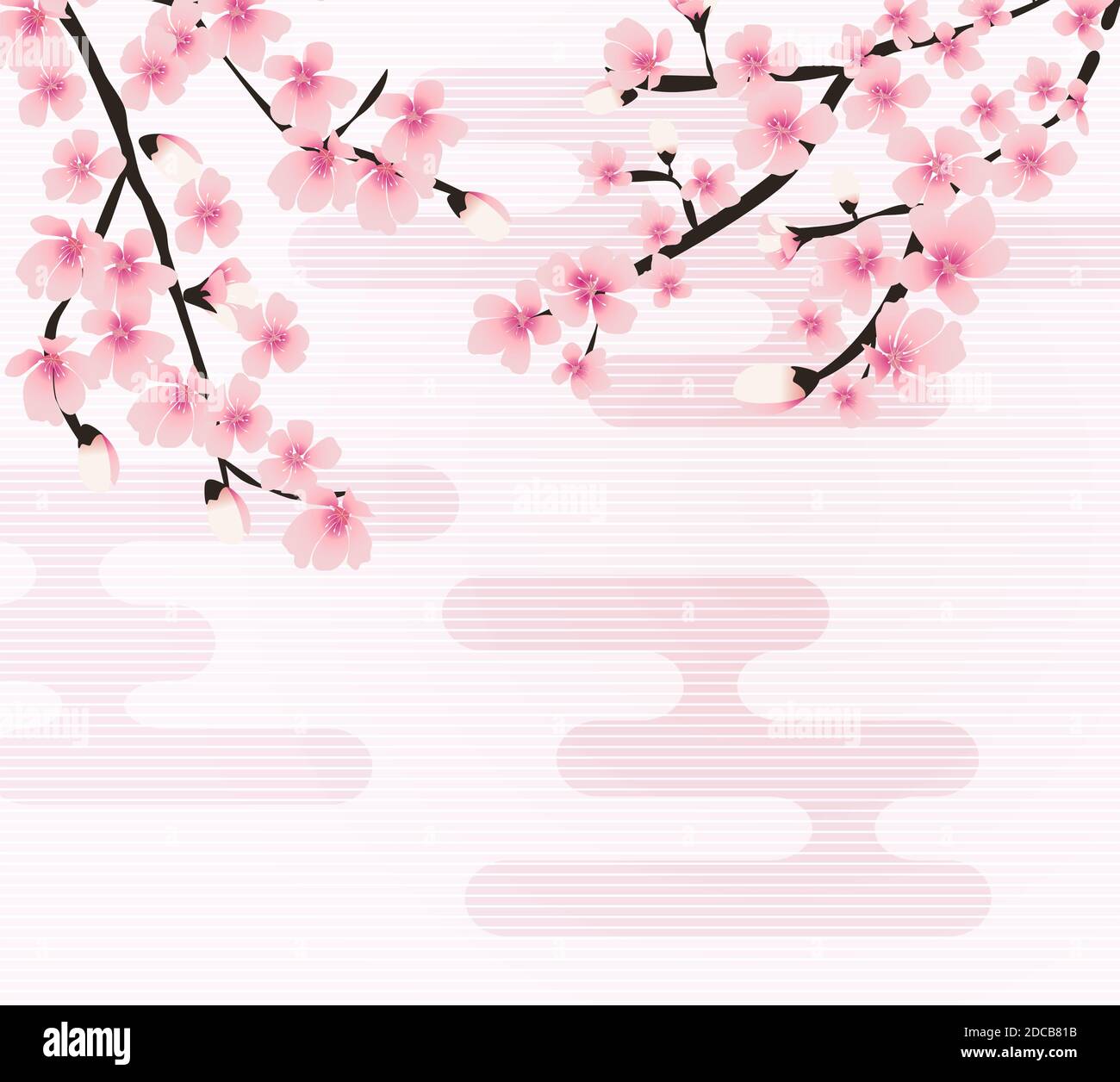 Abstract Floral Sakura Flower Japanese Natural Background Illustration ...