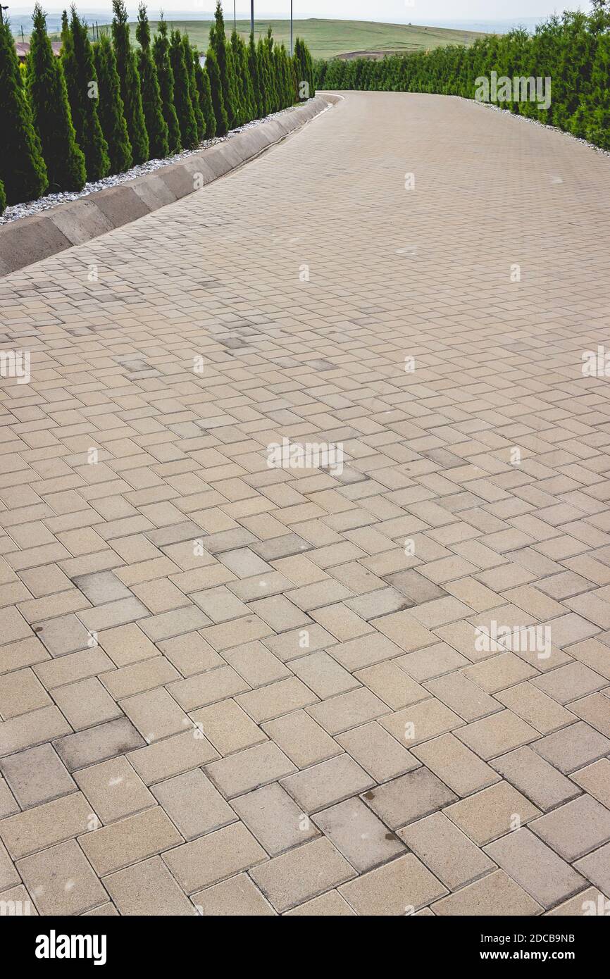 A vertical shot of a park tiled walkway with a cultivated evergreen ...