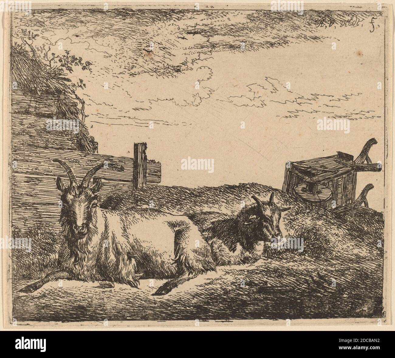 Recumbent goats hi-res stock photography and images - Alamy