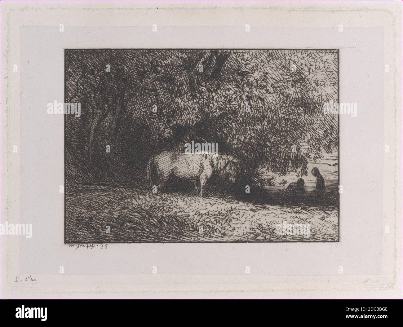 Horse under the tree hi-res stock photography and images - Alamy