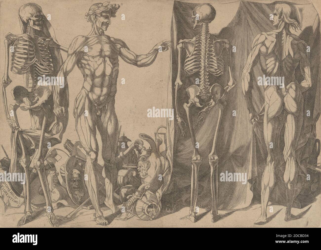 Two Flayed Men and Their Skeletons, ca. 1540-45 Stock Photo - Alamy