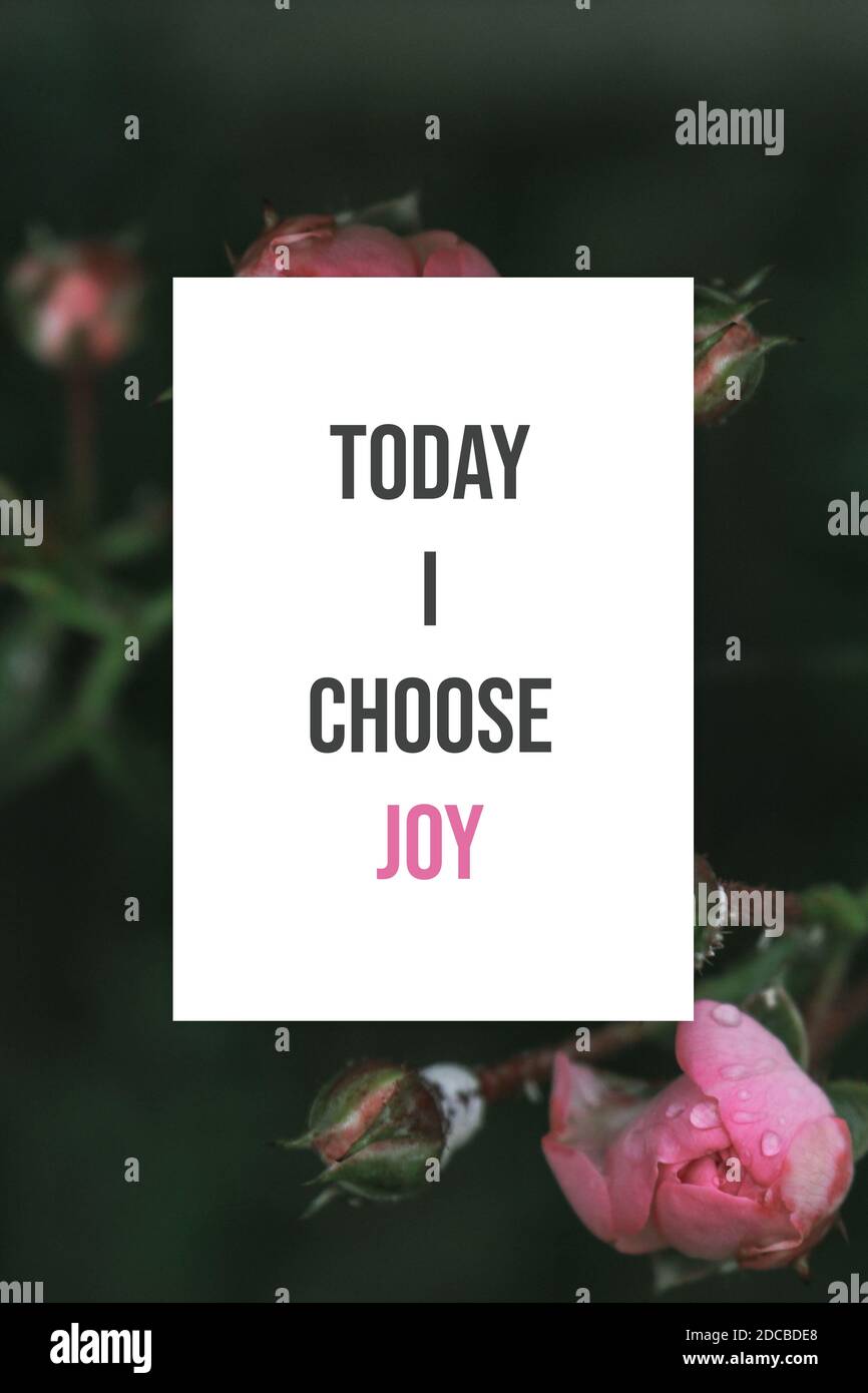 Joy motivational poster with roses Stock Photo - Alamy