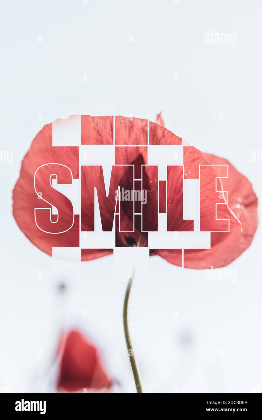 Smile motivational posters poppies background Stock Photo - Alamy