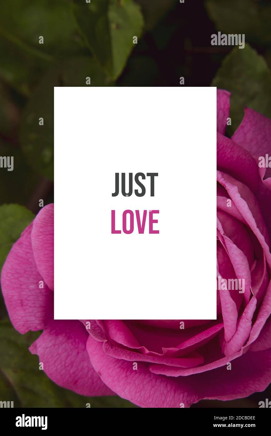 Inspiring quotes hi-res stock photography and images - Alamy