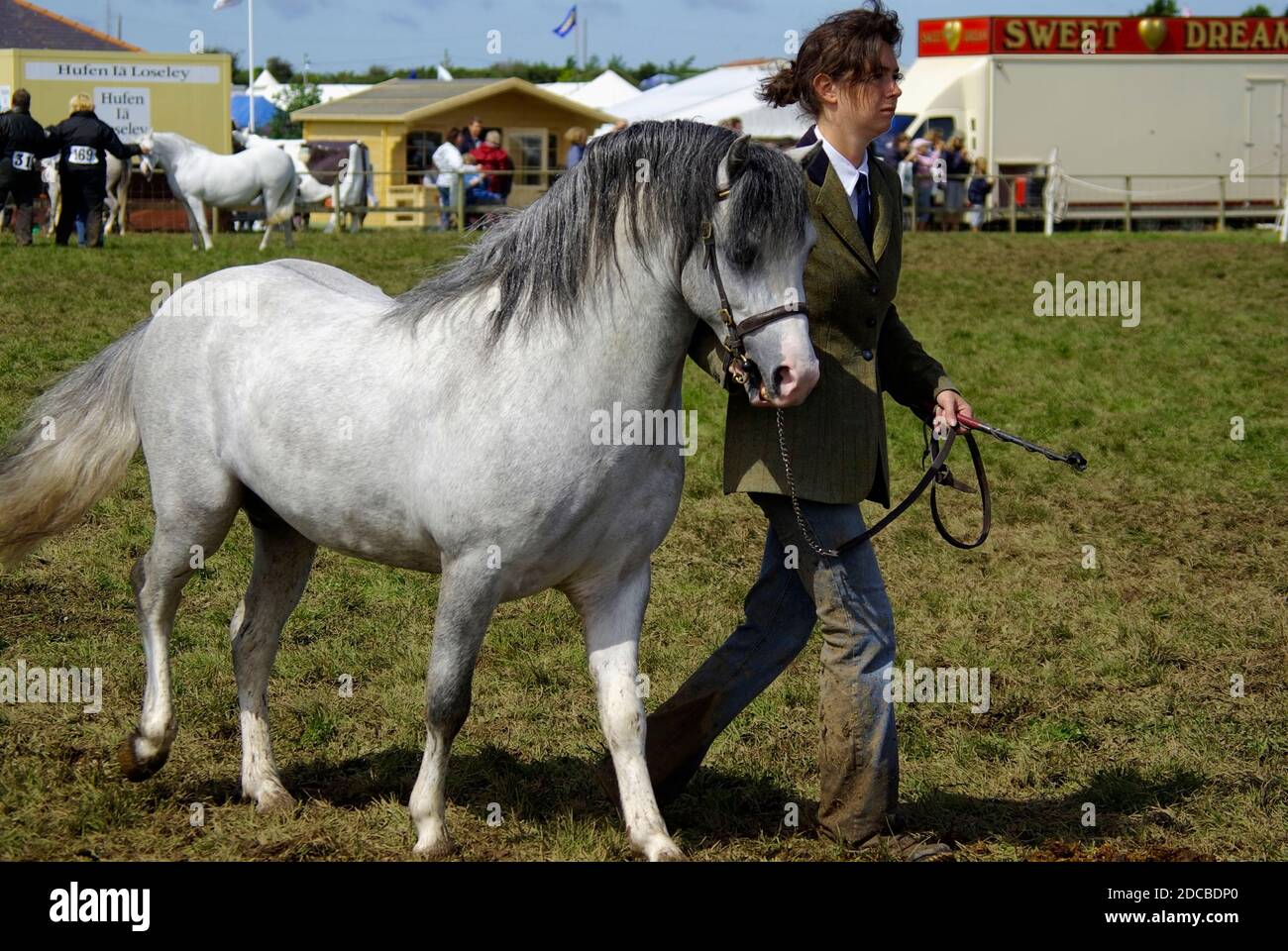 Anglesey Showground High Resolution Stock Photography and Images - Alamy