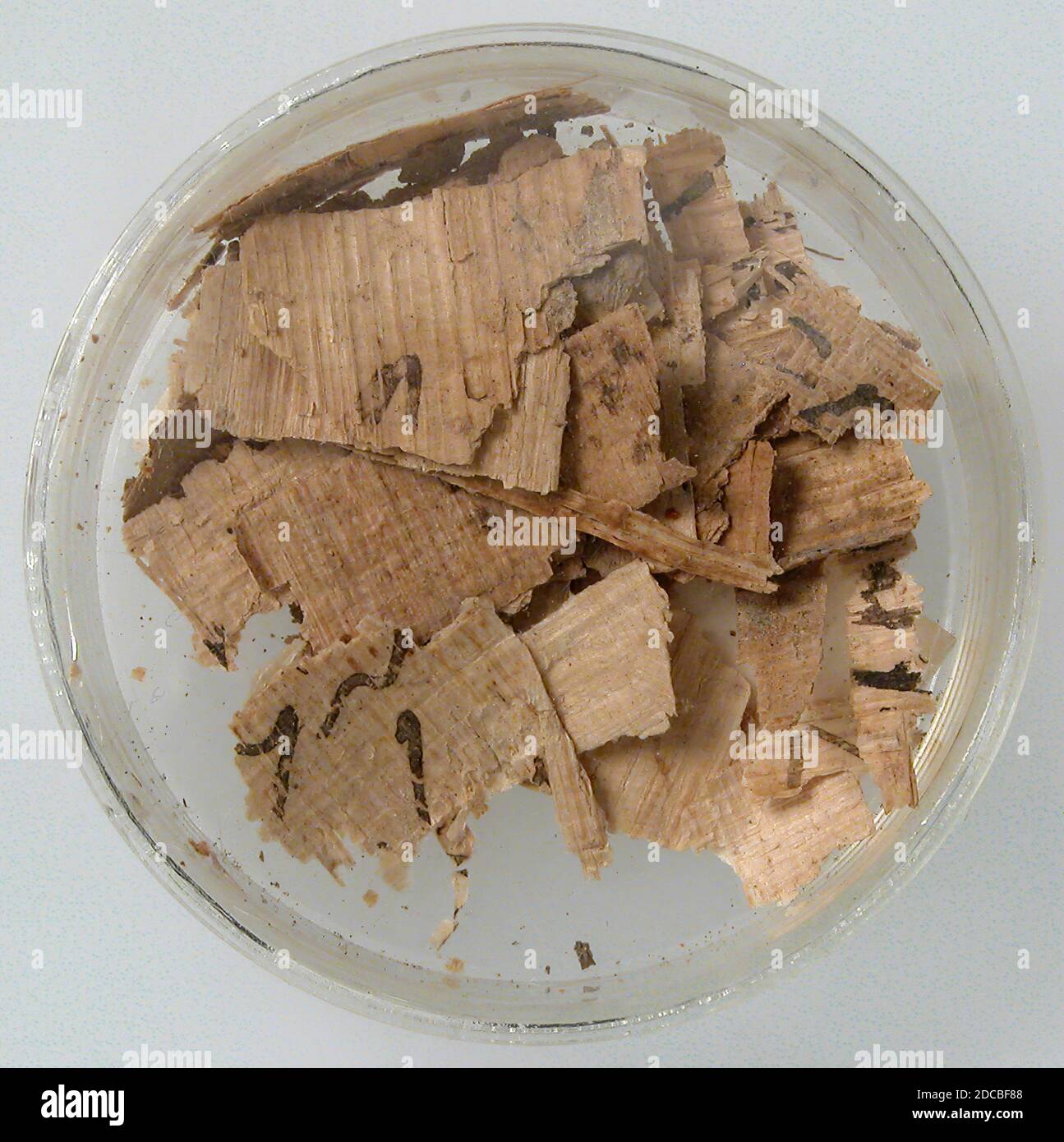 Papyri Fragments, Coptic, 7th century Stock Photo - Alamy