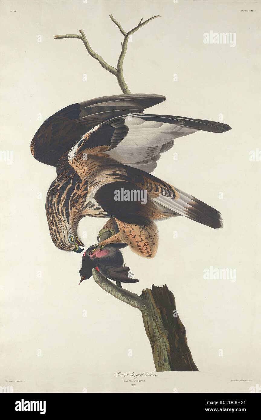 Robert Havell, Jr., (artist), American, born England, 1793 - 1878, John ...