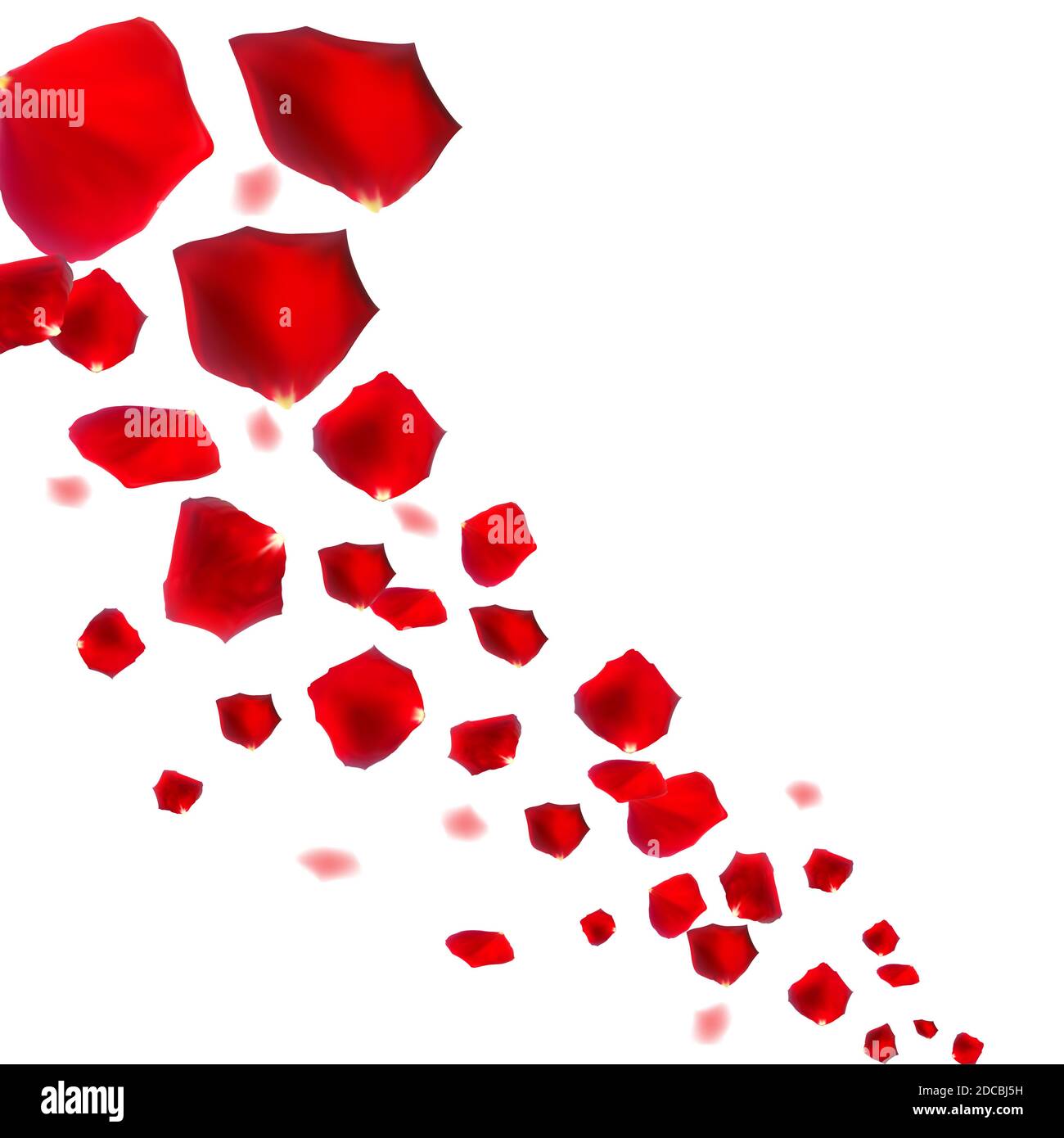 Abstract Natural Rose Petals Background Realistic Illustration Stock ...