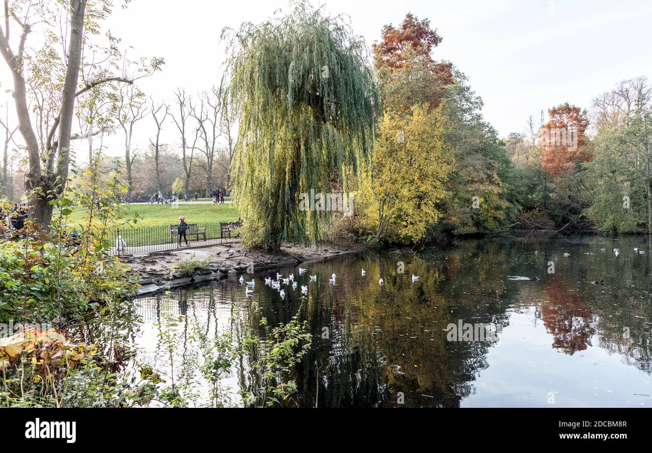 Pond IN Waterlow Park Highgate London UK Stock Photo - Alamy