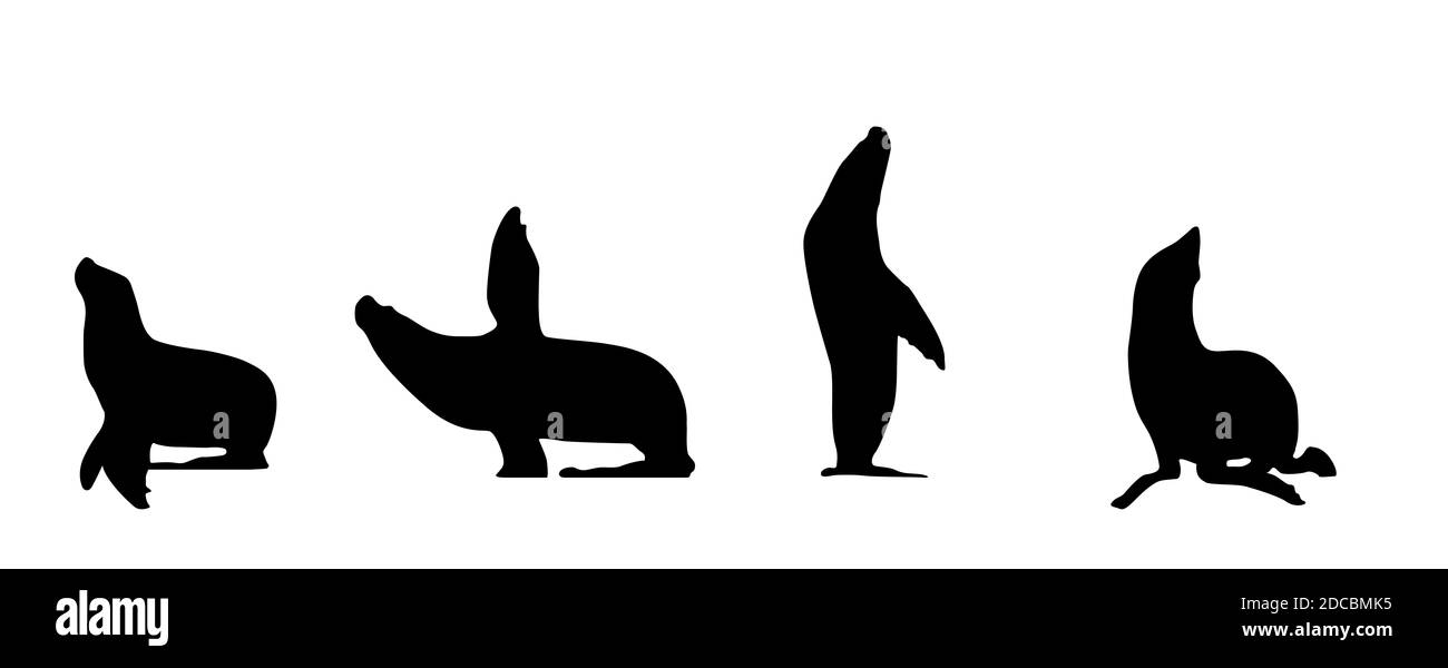 Seal in different positions Isolated on White. Illustration Stock Photo ...