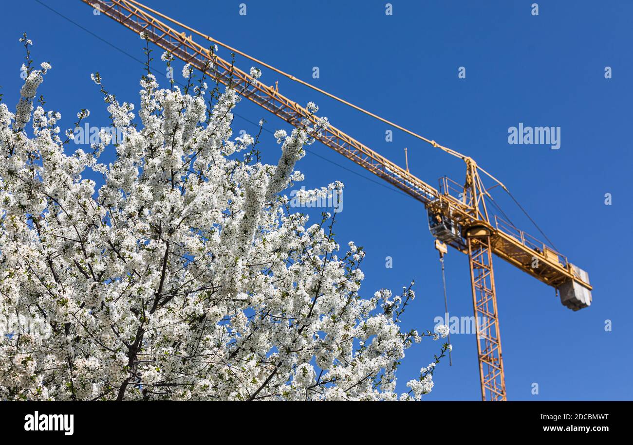 Spring and new house construction concept. Construction crane with a ...