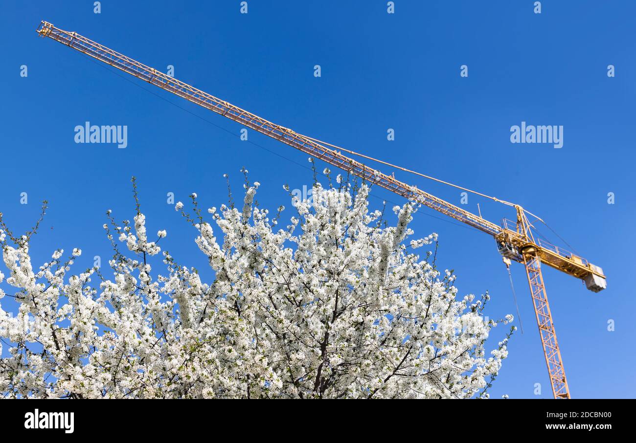 Spring and new house construction concept. Construction crane with a ...