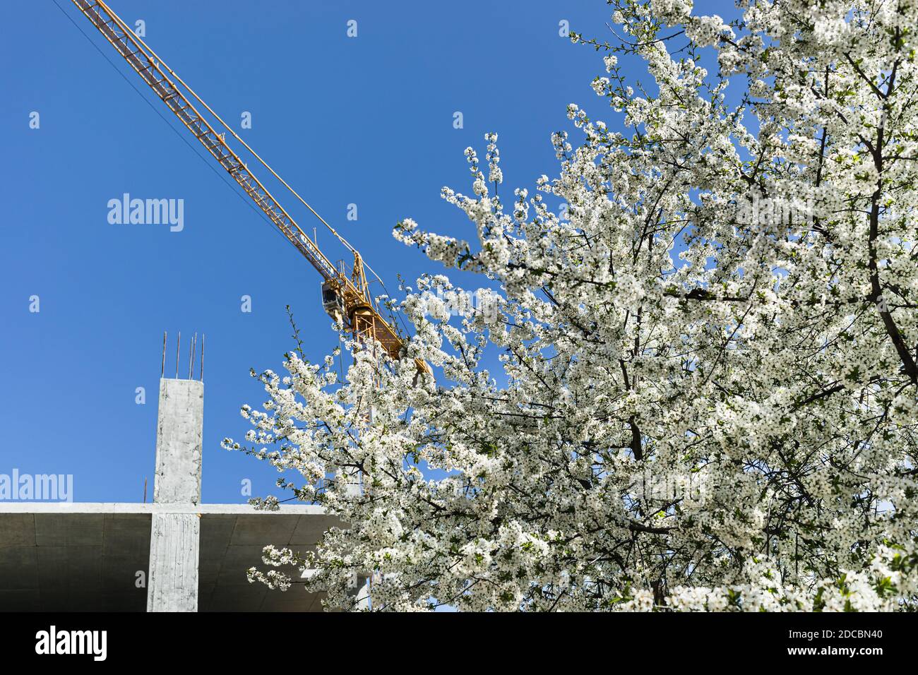 Spring and new house construction concept. Construction crane with a ...