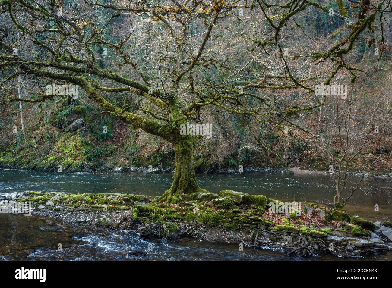 Creuse department hi-res stock photography and images - Alamy