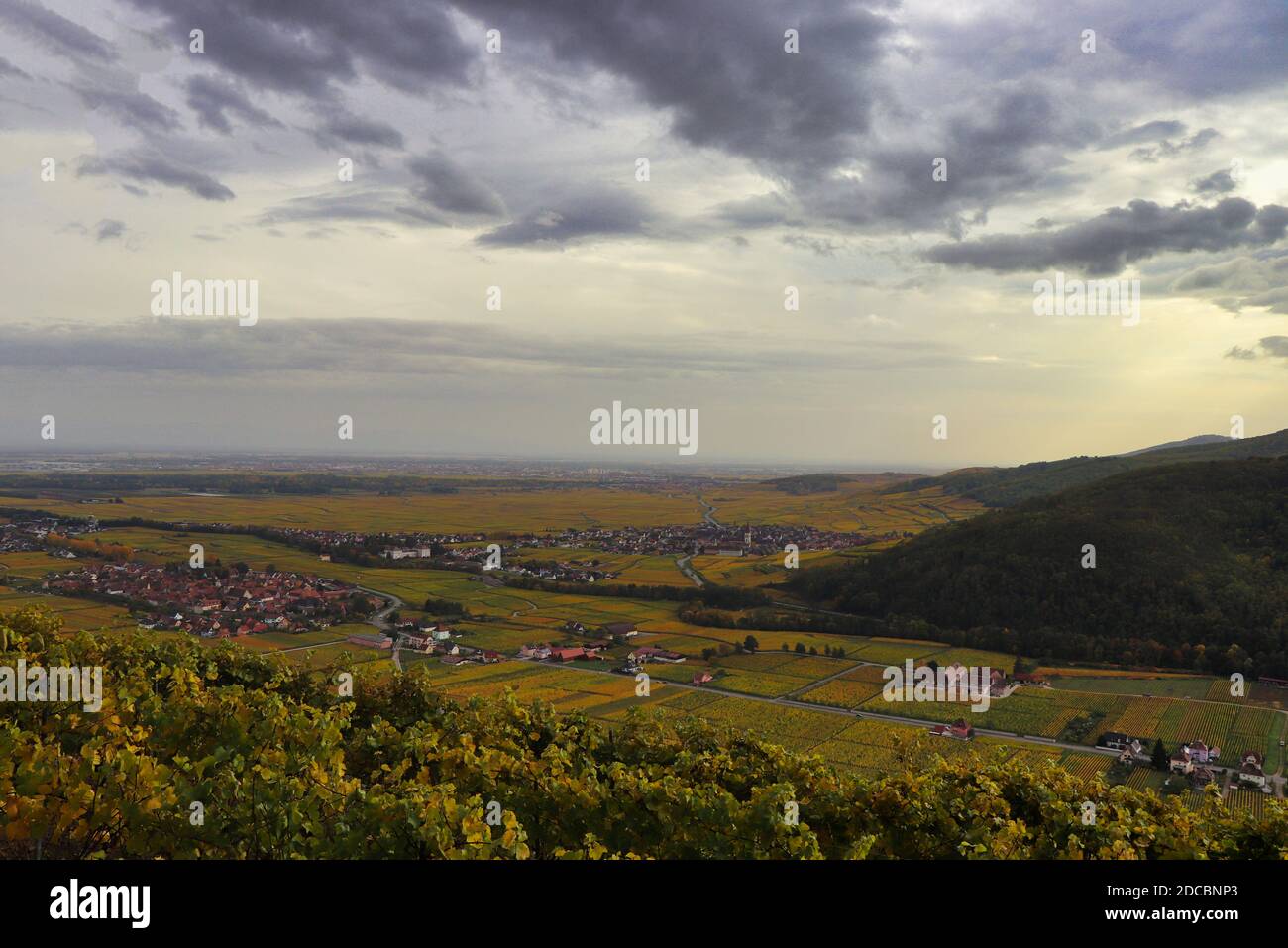 Alsace autumn hi-res stock photography and images - Alamy