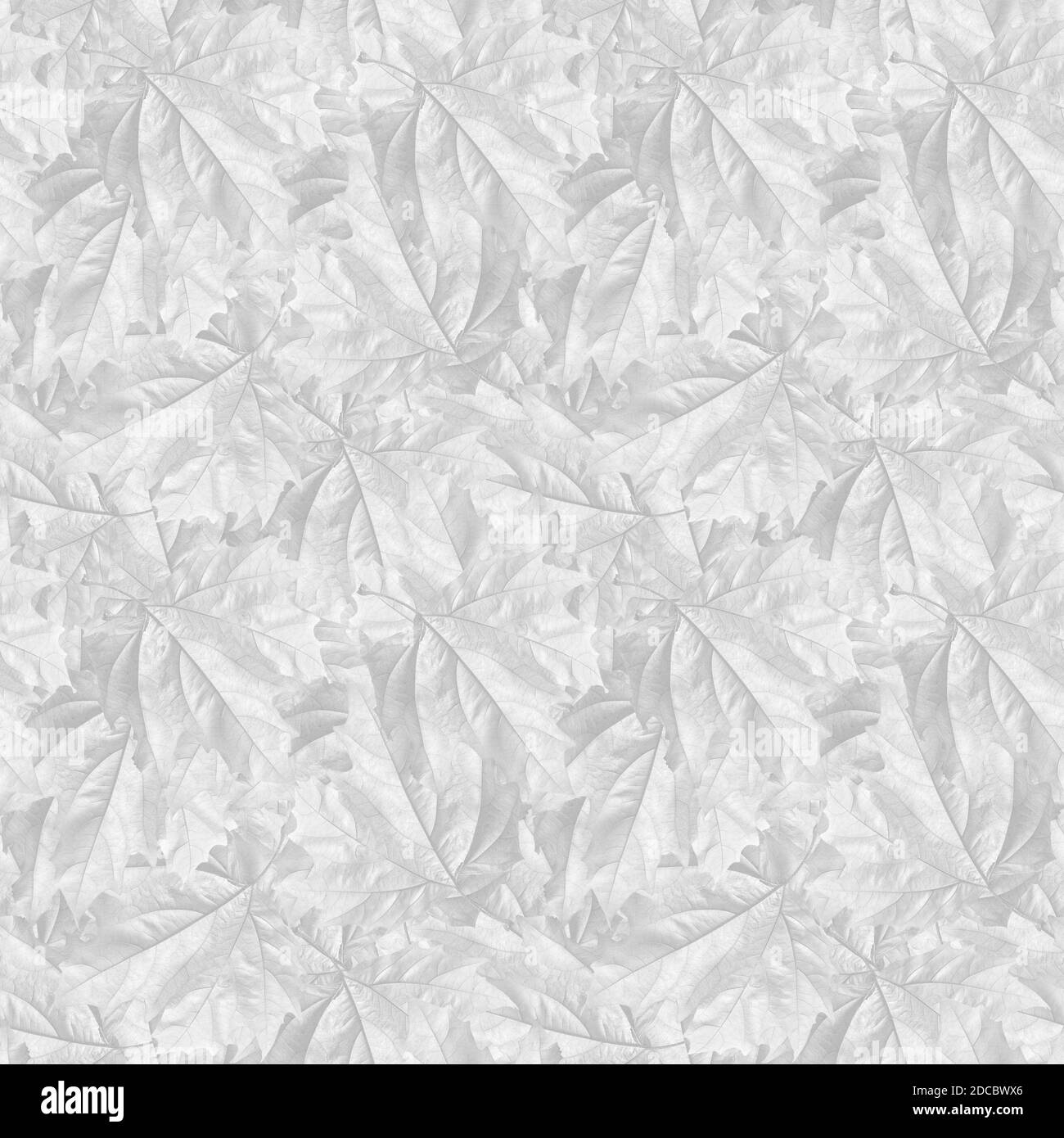 Nature background in light gray tonality. Dry autumn leaves seamless ...