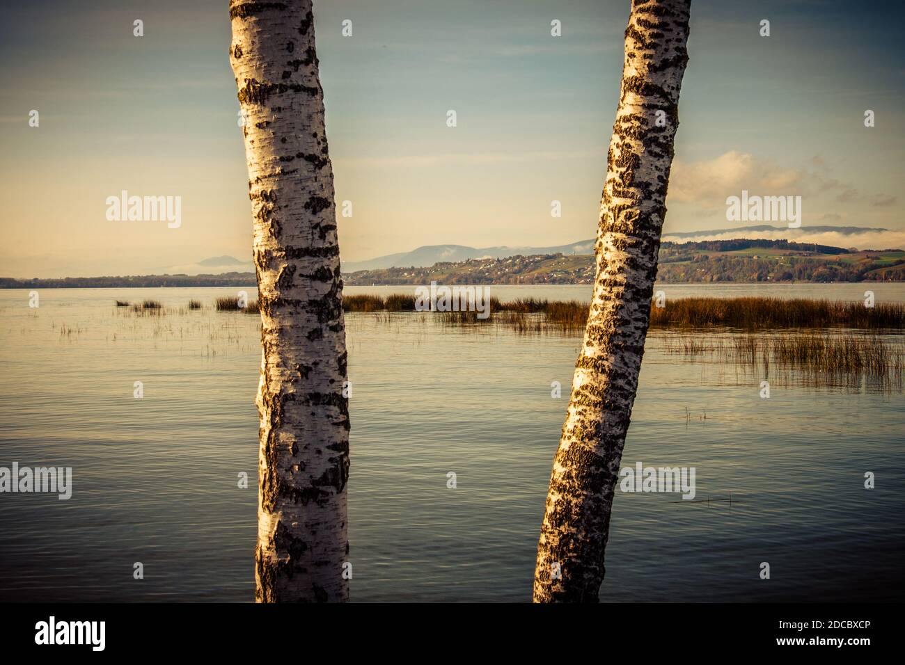 Landscape panoramic view of the Murten Lake, in Murten, Fribourg ...