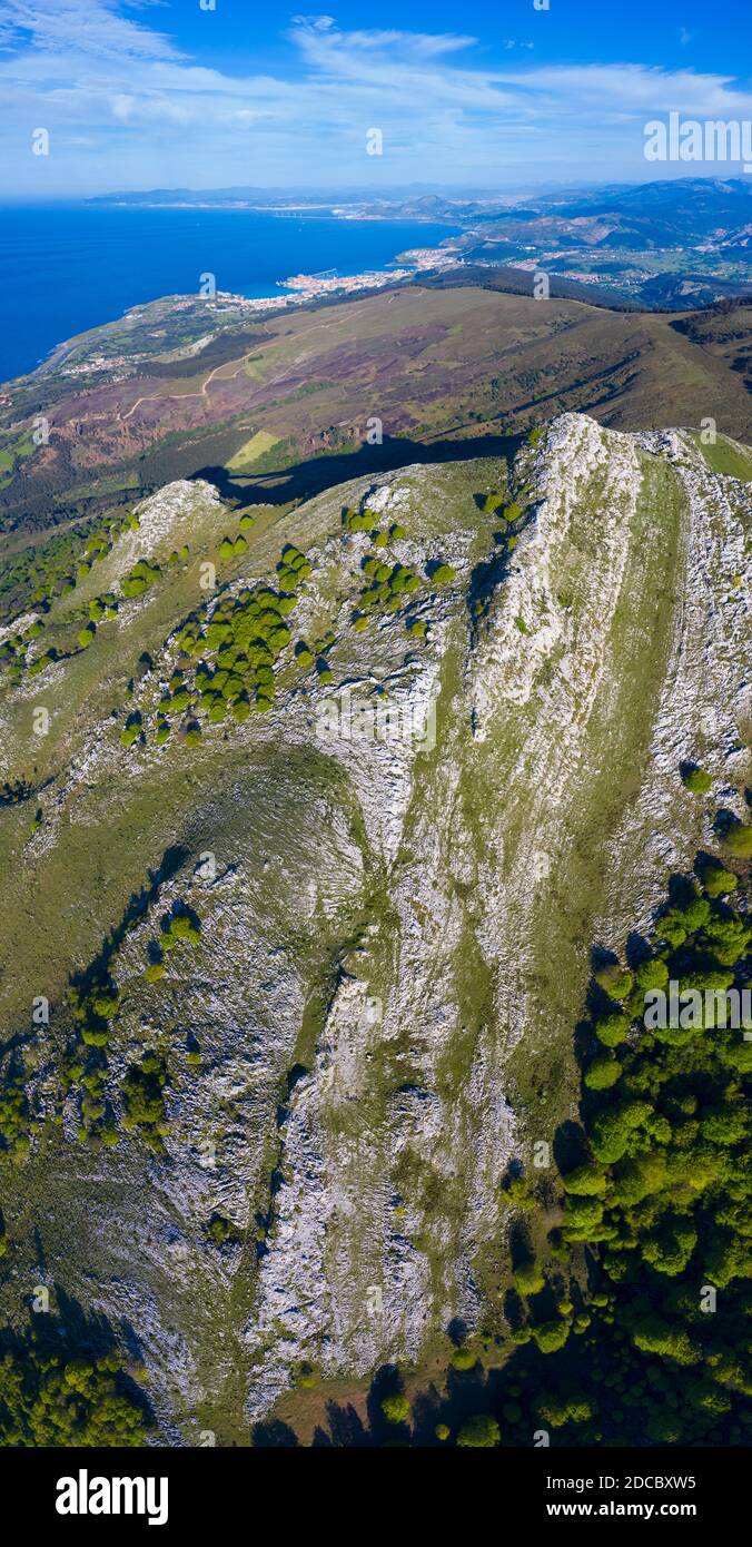 Beech forest in springtime, Cerredo Mountain, Montaña Oriental Costera ...