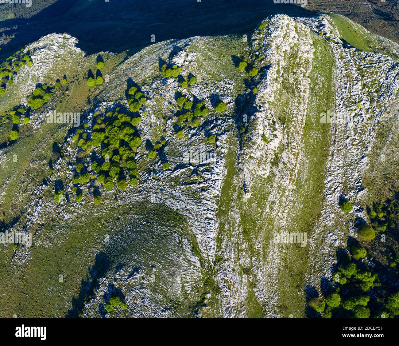 Beech forest in springtime, Cerredo Mountain, Montaña Oriental Costera ...