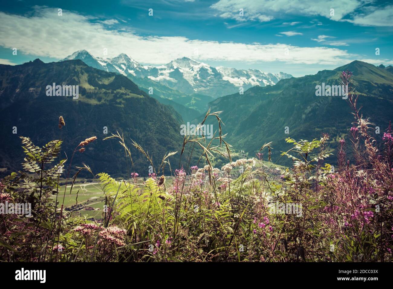 Landscape view of the Swiss Alps, In Interlaken, Switzerland Stock ...