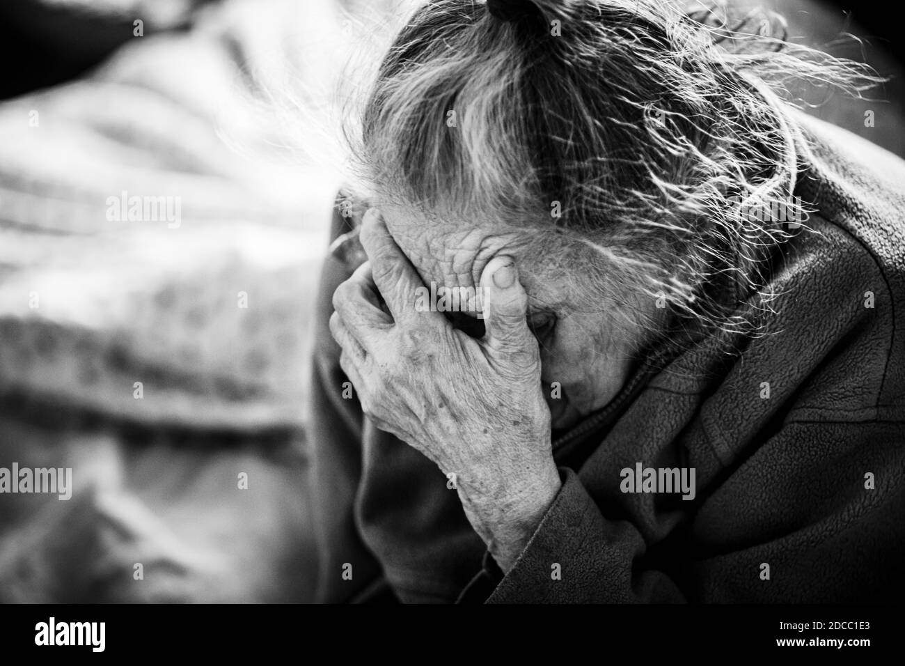 Hoary Black and White Stock Photos & Images - Alamy