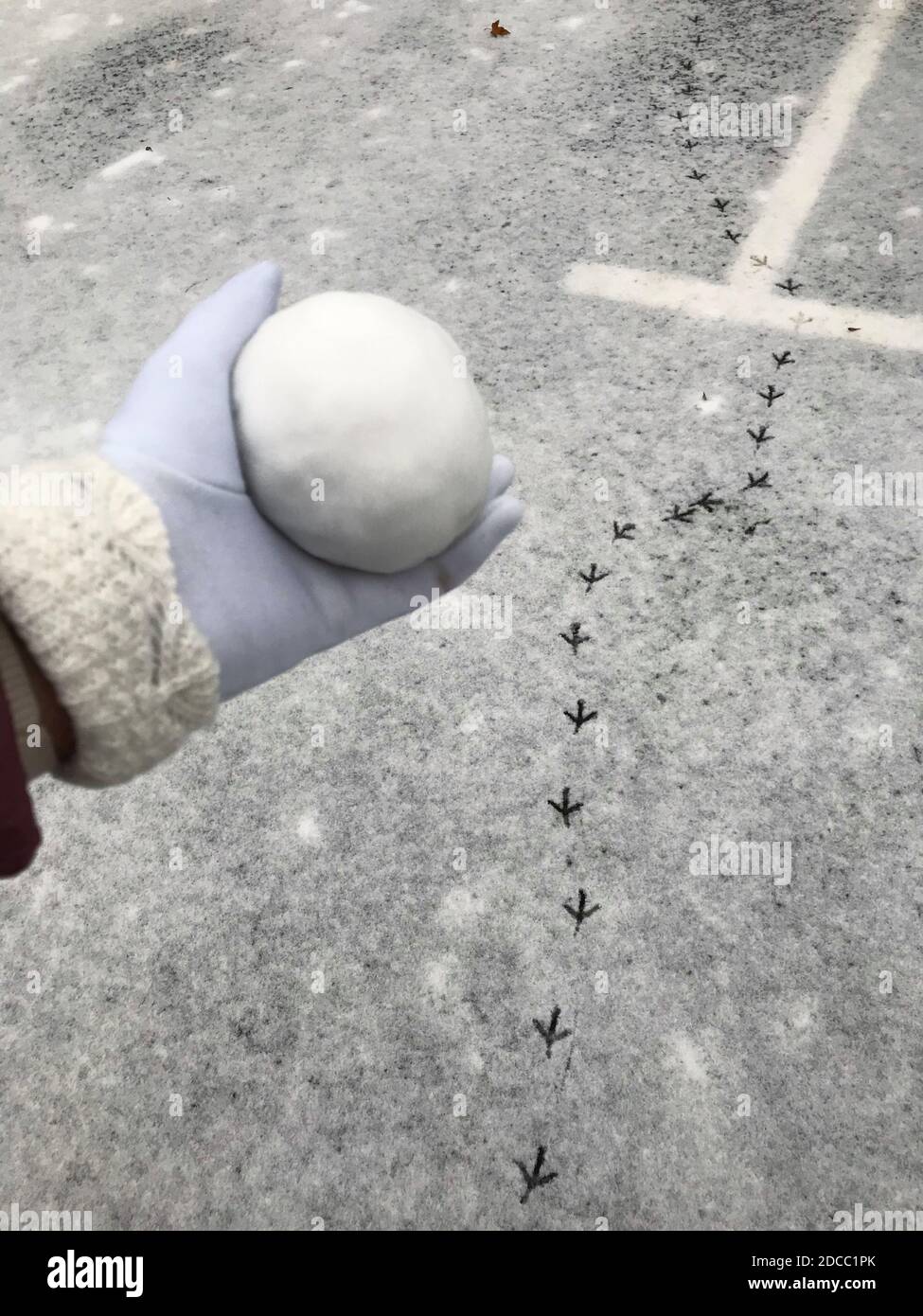 Snowball in a woman's hand. Against the background of asphalt covered ...