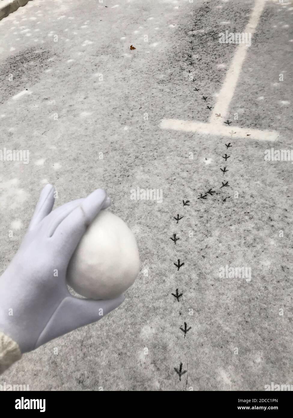 Snowball in a woman's hand. Against the background of asphalt covered ...