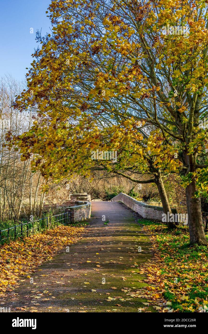 The disused road across Pershore Old bridge on the Avon river ...