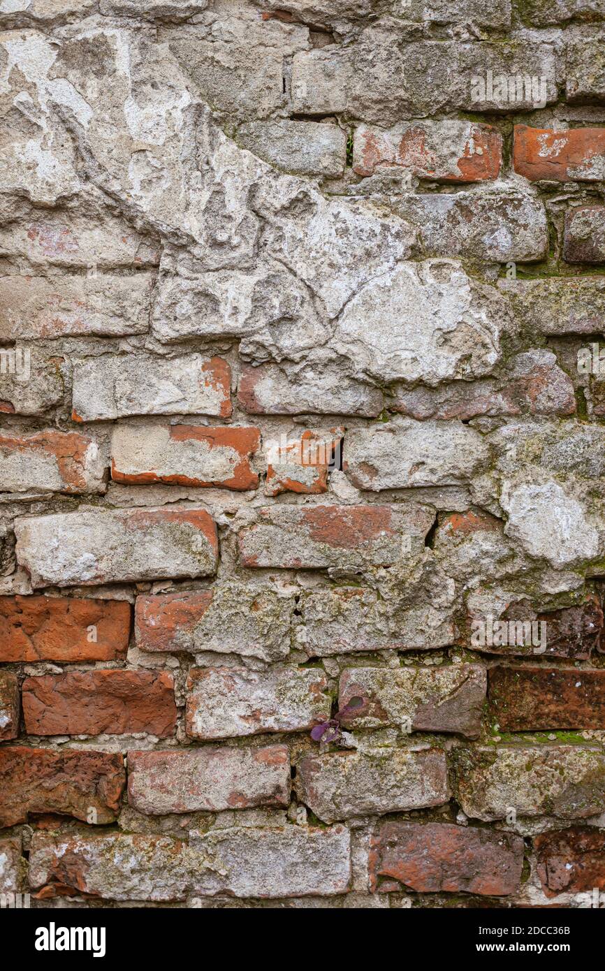 Old weathered brick wall. Aged brick wall with cracked plaster ...