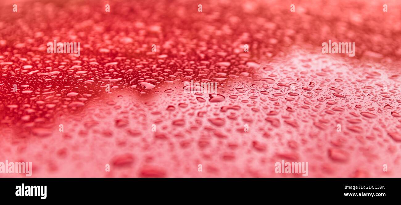 Rain drops on a red surface. Water drops on red metal texture. Shallow ...