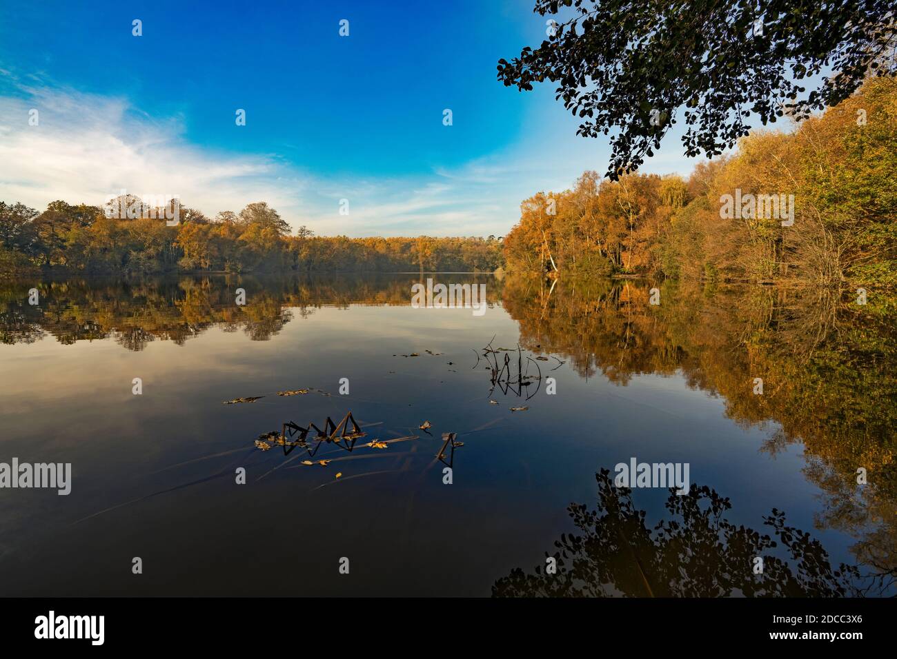Slaugham mill pond, Slaugham, West Sussex, England, Uk Stock Photo - Alamy