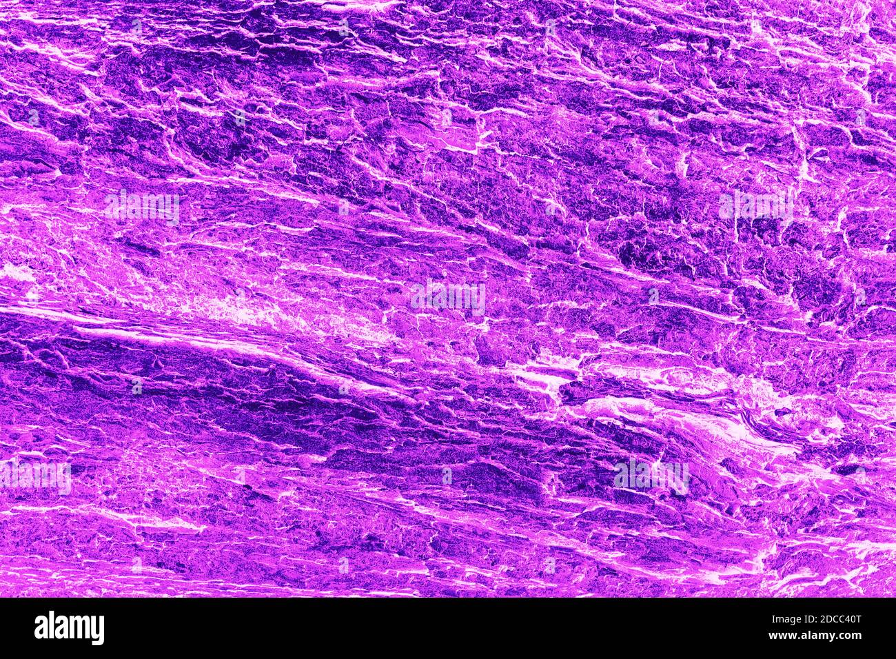 Abstract texture background. Old tree bark in trendy neon color Stock ...