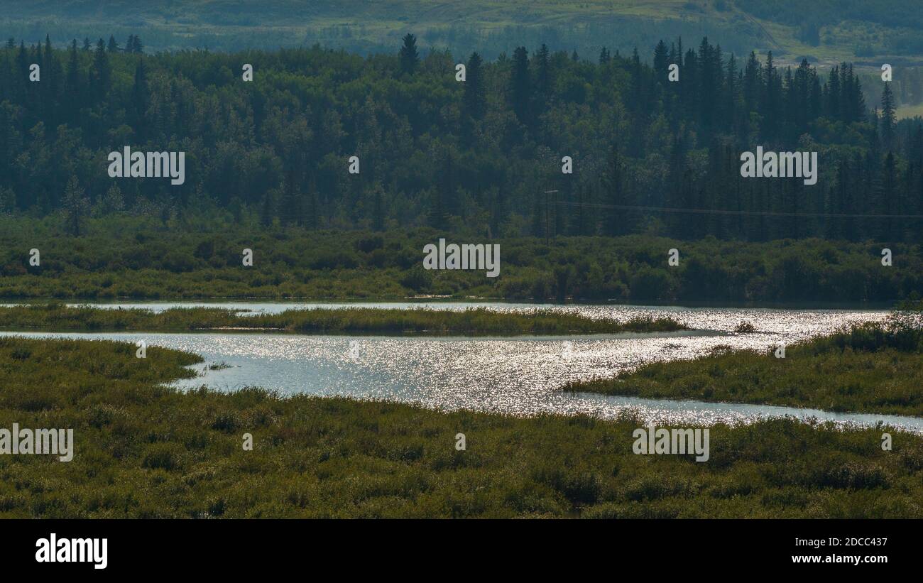 nature scenarios inside Glenmore Park, Calgary, Canada Stock Photo - Alamy