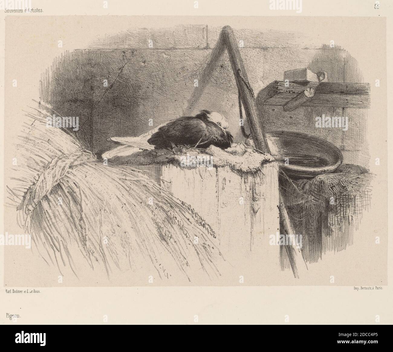 Karl bodmer bodmer hi-res stock photography and images - Alamy