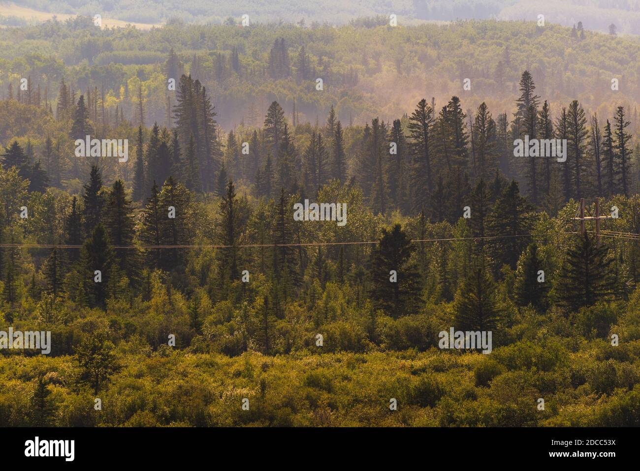 nature scenarios inside Glenmore Park, Calgary, Canada Stock Photo - Alamy