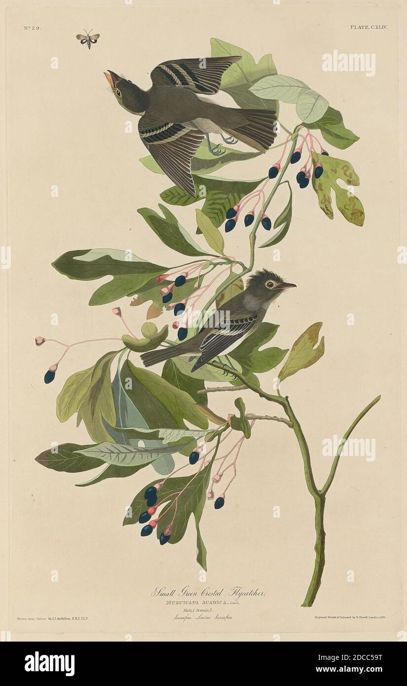 Robert Havell, Jr., (artist), American, born England, 1793 - 1878, John ...