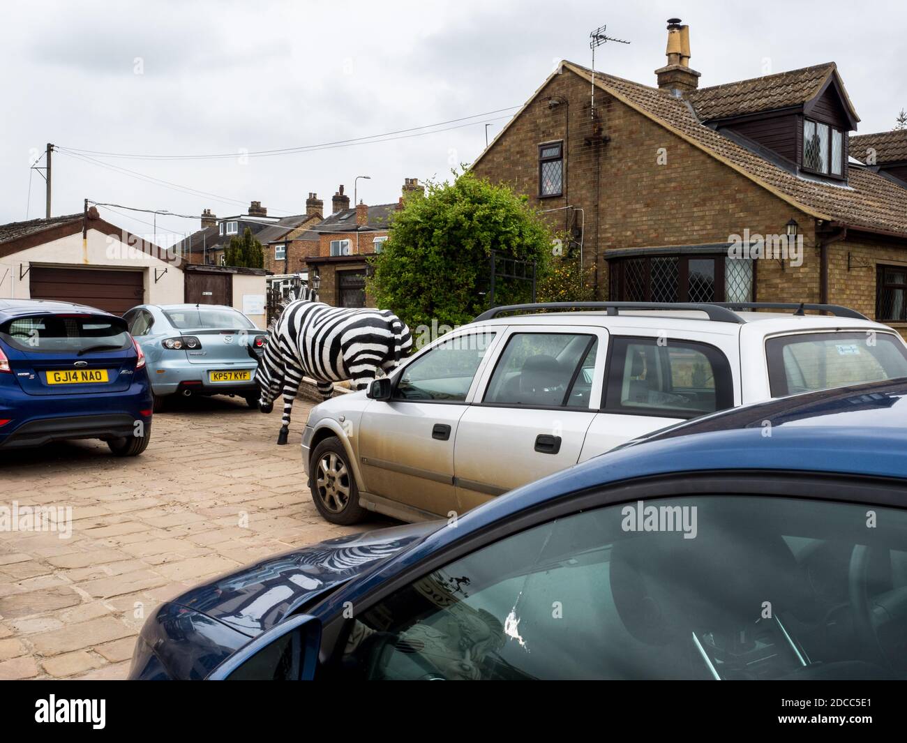 Visitor car park, The Rockery Centre. Sandy, Bedofrdshire Stock Photo ...